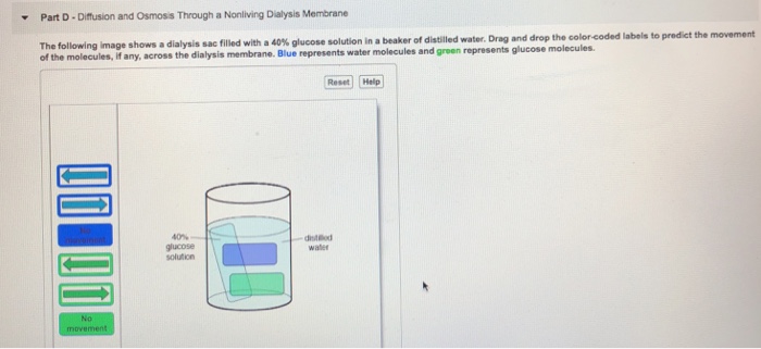Solved: Part D-Diffusion And Osmos's Through A Nonliving D... | Chegg.com