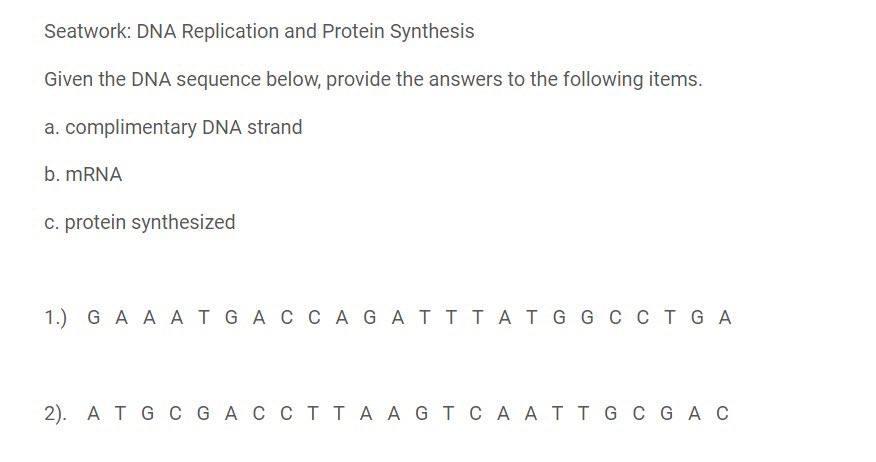 Solved Seatwork: DNA Replication and Protein Synthesis Given | Chegg.com