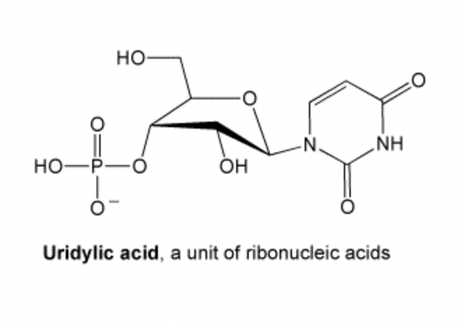 Solved Uridylic acid, a unit of ribonucleic | Chegg.com