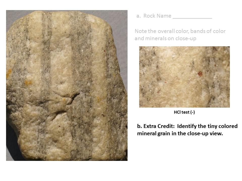 Solved I believe the rock is Gneiss. Answer Bank: Here is | Chegg.com