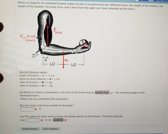 Solved Below is a diagram of a baseball/forearm system at | Chegg.com