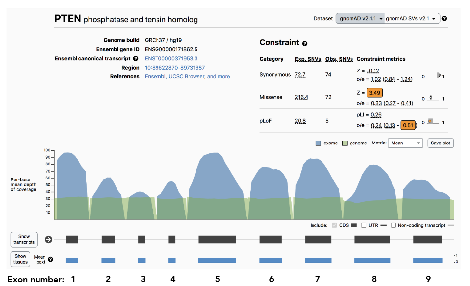 Solved The constraint table at the upper right in the image | Chegg.com