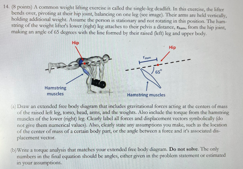 Weight Lifting Exercises Diagrams