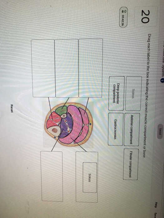 Solved Help Save Drag each label to the box indicating the | Chegg.com