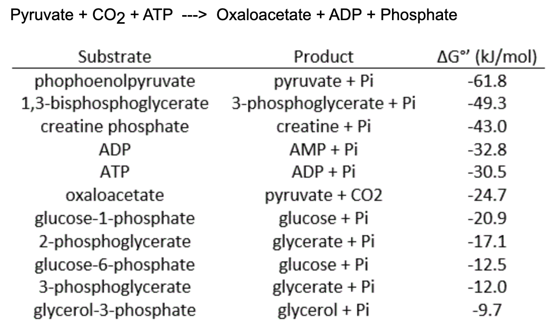Solved Below are some delta G values for biochemical | Chegg.com