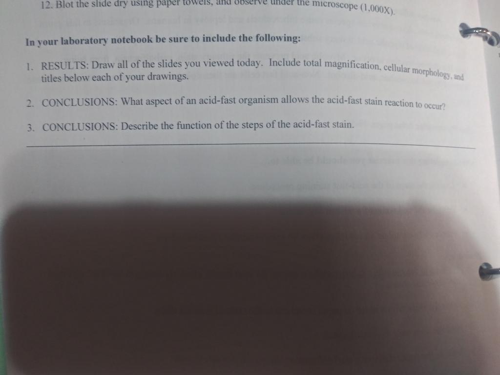 Solved In your laboratory notebook be sure to include the | Chegg.com