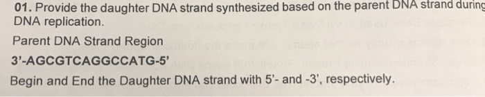 Solved 01. Provide the daughter DNA strand synthesized based | Chegg.com