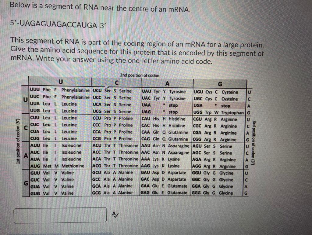 Solved Below is a segment of RNA near the centre of an mRNA. | Chegg.com