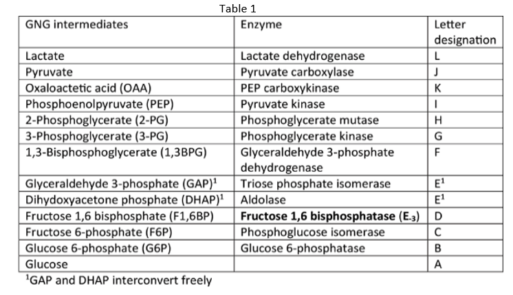 Table 1 GNG intermediates Enzyme Letter designation | Chegg.com