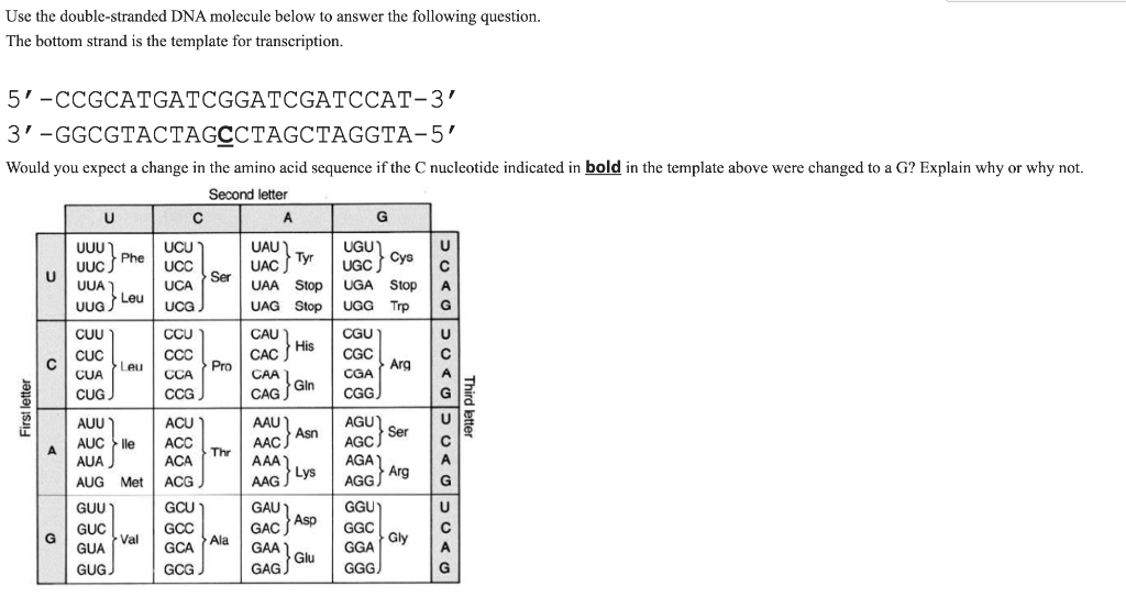 Solved Use the double-stranded DNA molecule below to answer | Chegg.com