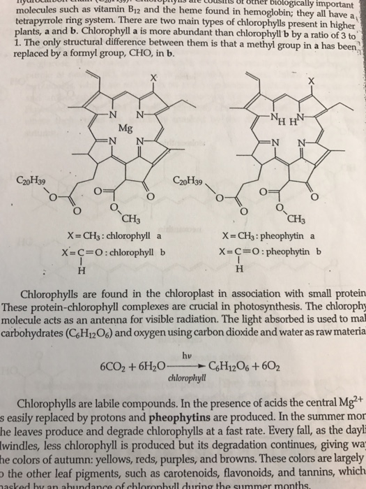Pheophytin B Structure