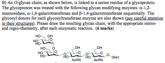 B) An O-glycan chain, as shown below, is linked to a | Chegg.com B) An O-glycan chain, as shown below, is linked to a | Chegg.com