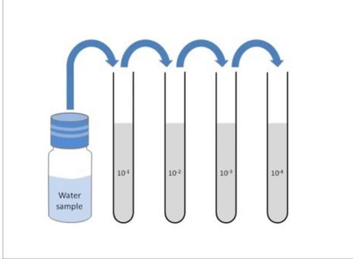 Solved From the diagram, if the final volume has to be 1ml, | Chegg.com