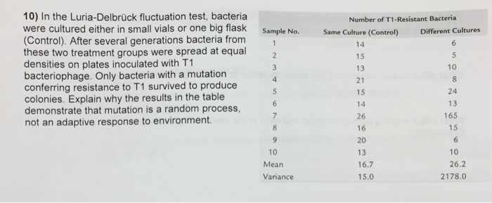 Solved In the Luria-Delbruck fluctuation test, bacteria were | Chegg.com