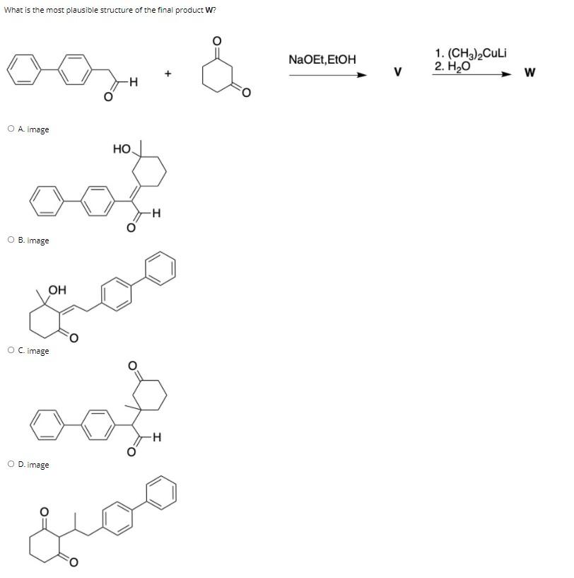 Solved What is the most plausible structure of the final | Chegg.com