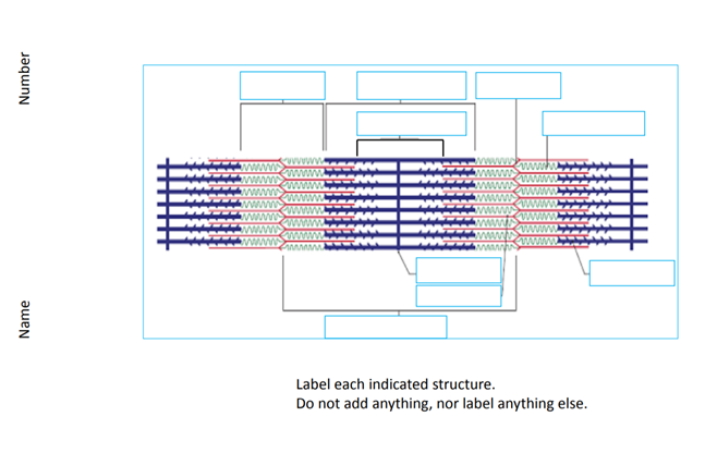 Solved Number M M Name Label each indicated structure. Do | Chegg.com
