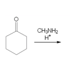 Solved CH3NH2 Ht | Chegg.com