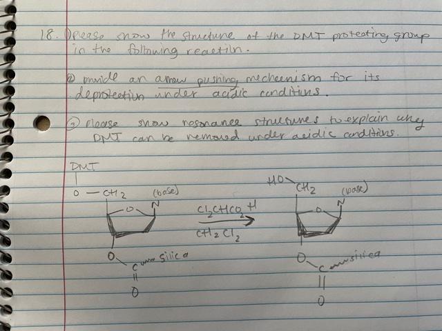 Solved 18. Prease show the structure of the DMT protecting | Chegg.com