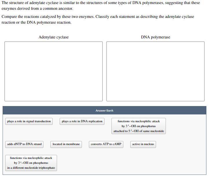 Solved The structure of adenylate cyclase is similar to the | Chegg.com