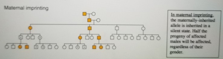Solved Incorrect Question 1 0/0.5 pts Below shows the | Chegg.com