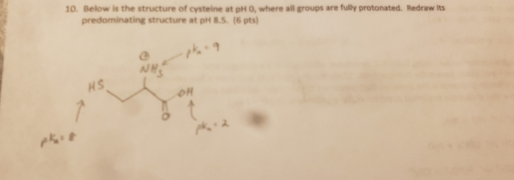 Solved The Question states: Below is the structure of | Chegg.com