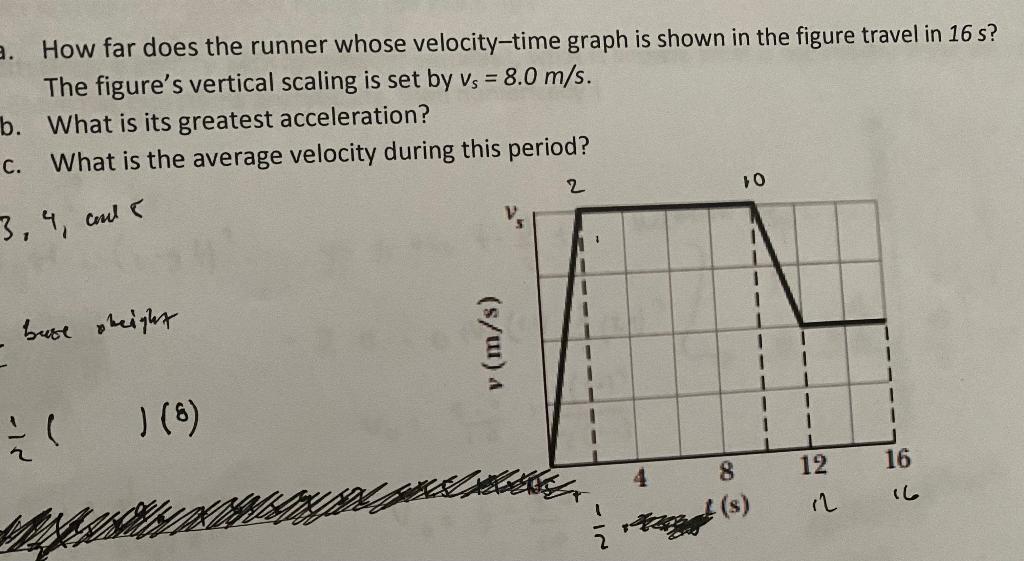 Solved How far does the runner whose velocity-time graph is | Chegg.com