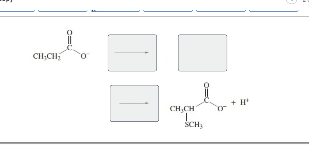Solved CH3CH2 CH CH SCH3 Drag the appropriate labels to | Chegg.com