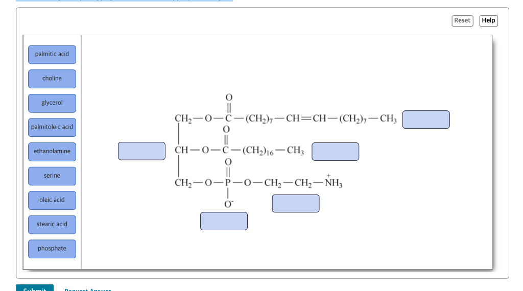 Solved Identify its components. Label the diagram by | Chegg.com