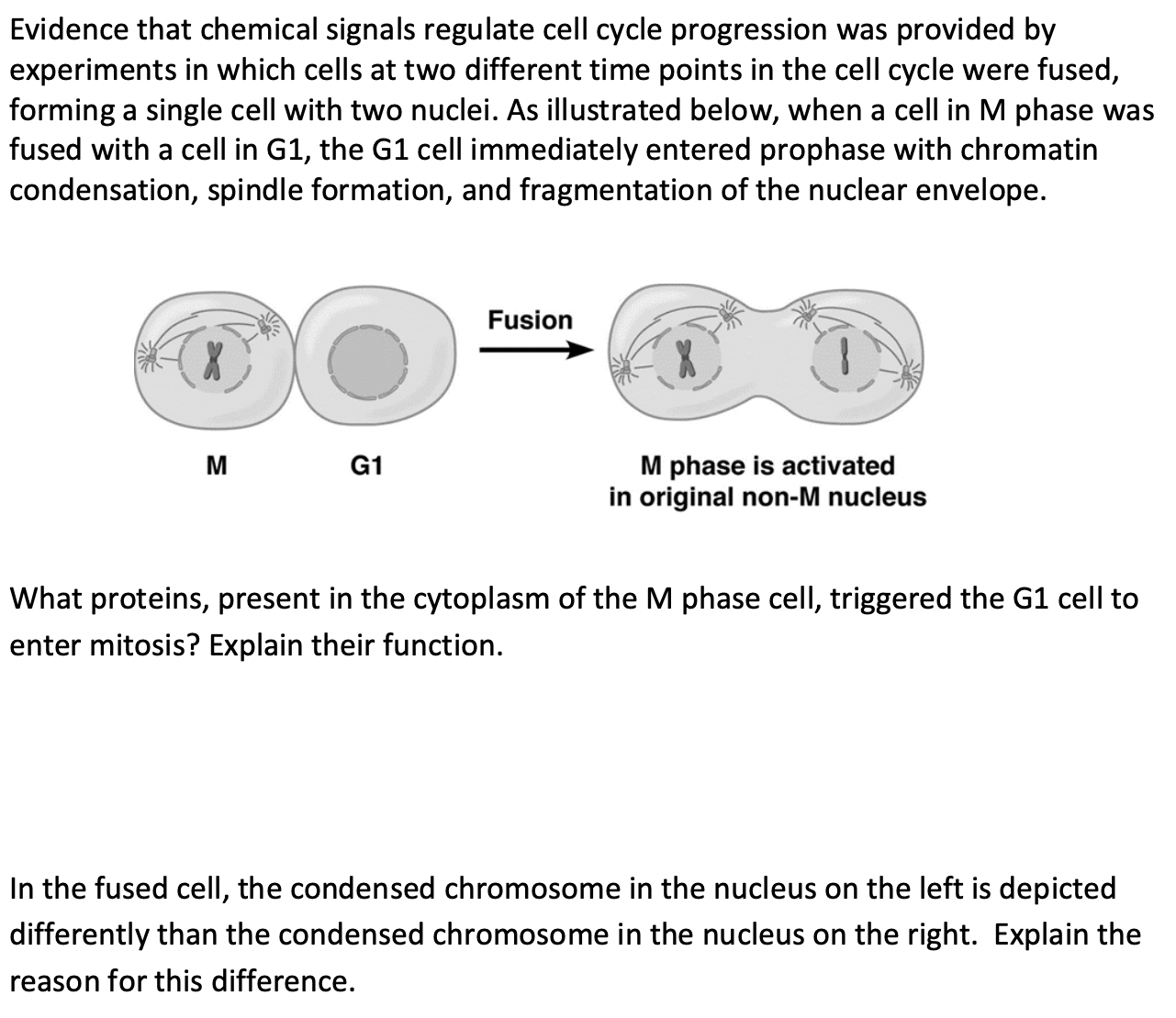Solved Evidence that chemical signals regulate cell cycle | Chegg.com