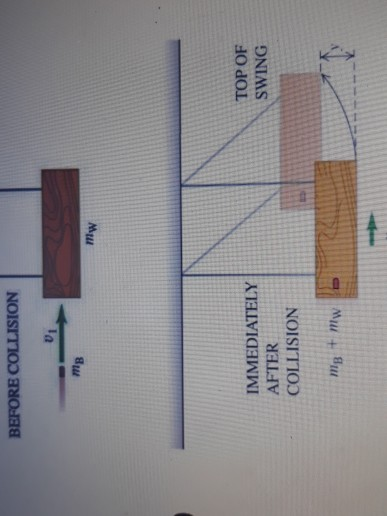 Solved In a perfectly inelastic collision, a bullet is fired | Chegg.com