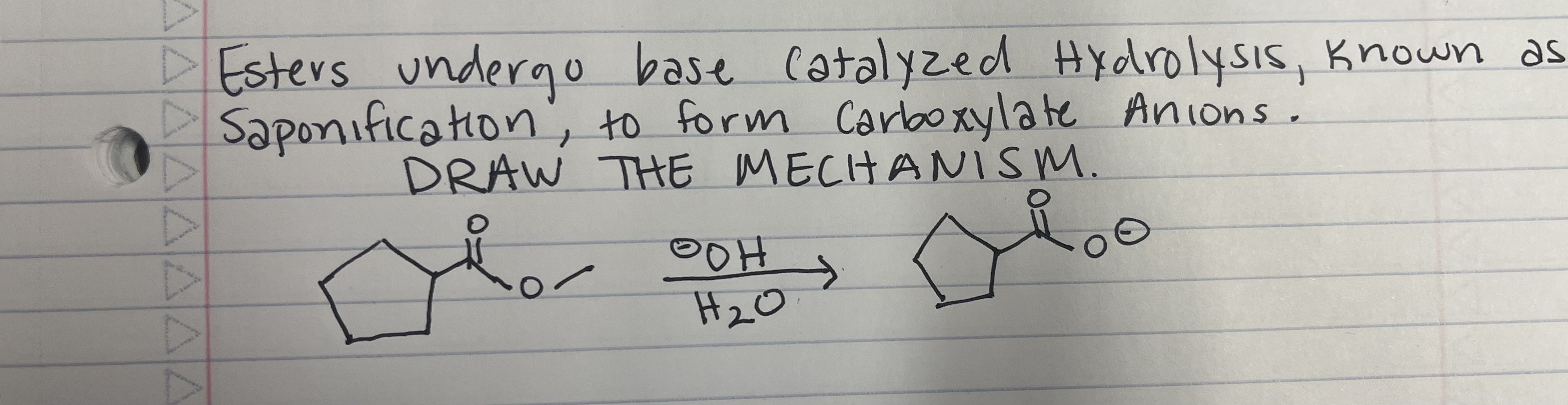 Solved Esters undergo base Catalyzed Hydrolysis, known as | Chegg.com