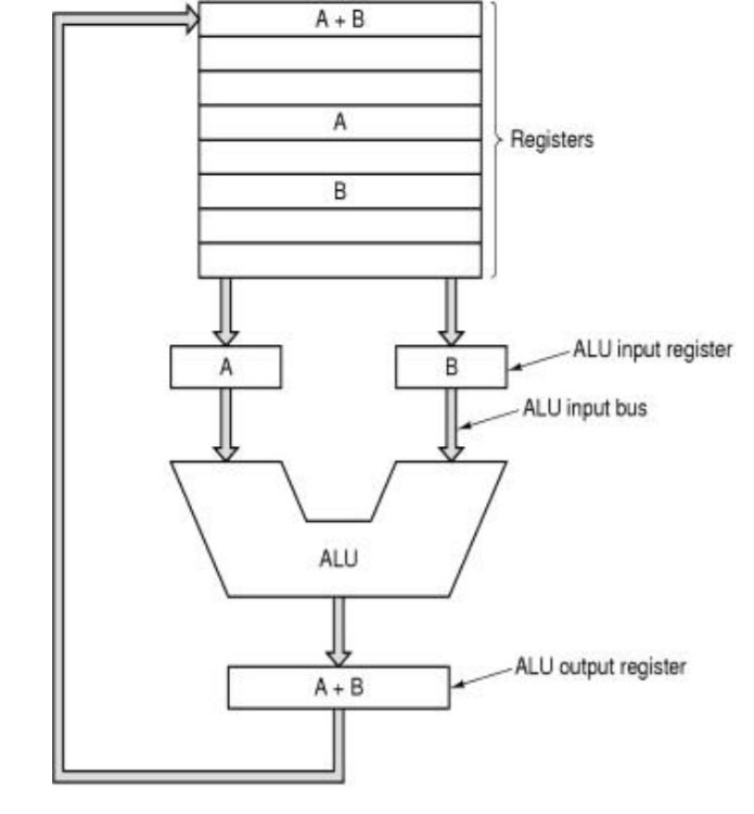 Consider the data path of a CPU below. With this | Chegg.com