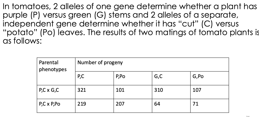 Solved In tomatoes, 2 ﻿alleles of one gene determine whether | Chegg.com