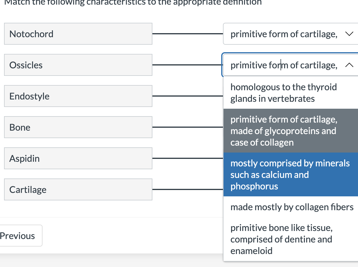 Solved primitive form of cartilage,primitive forlm of | Chegg.com