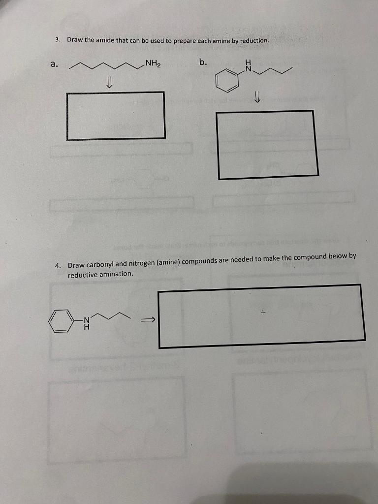 Solved 3. Draw the amide that can be used to prepare each | Chegg.com