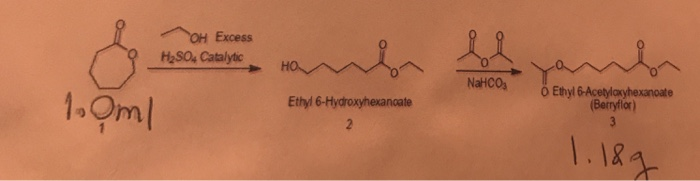 Solved How do i find the percent yield for this reaction? My | Chegg.com