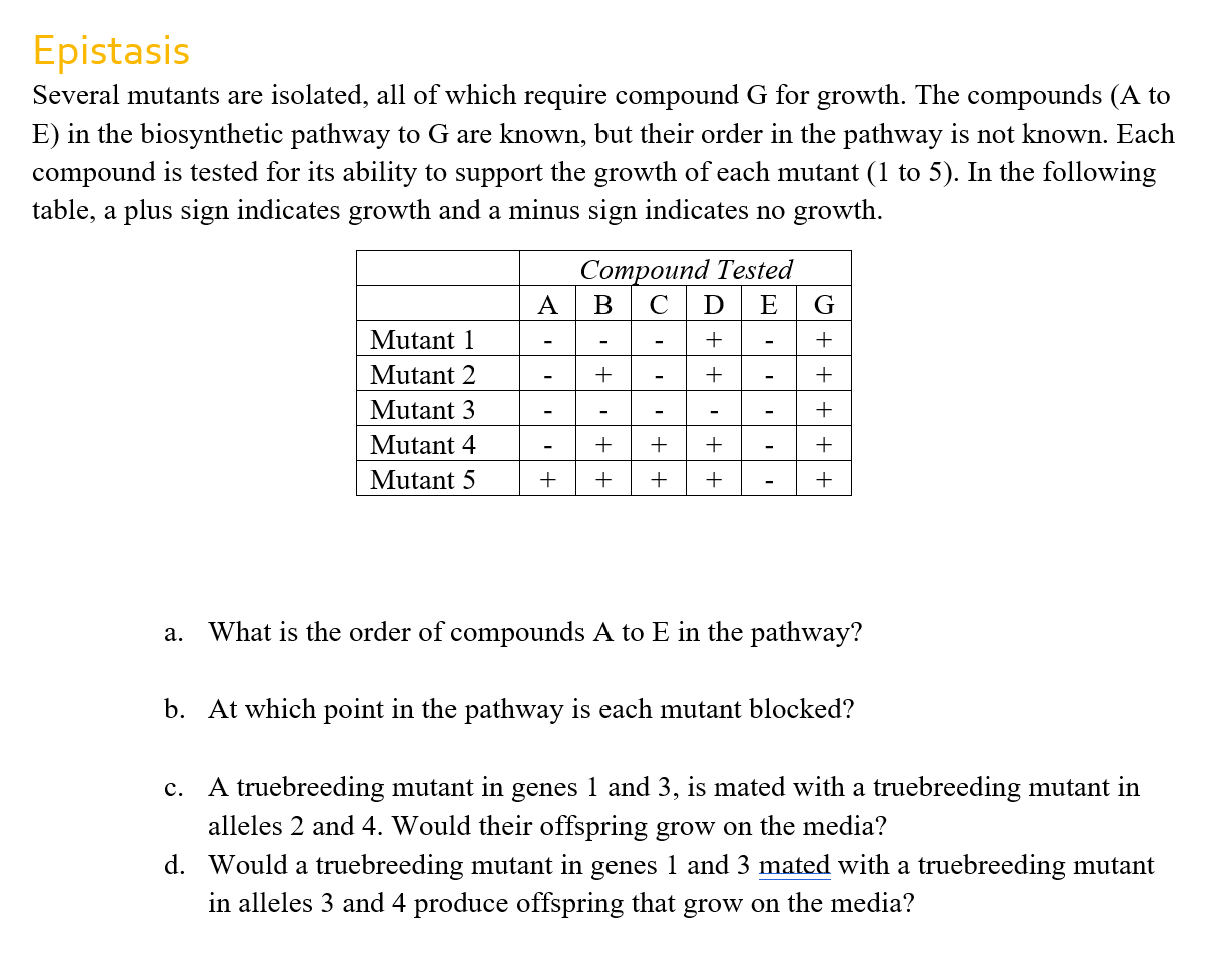 Solved Several mutants are isolated, all of which require | Chegg.com