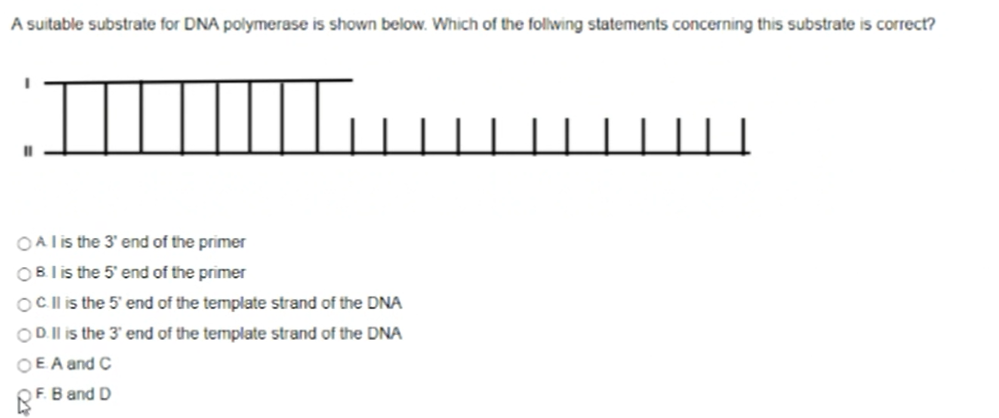 Solved A suitable substrate for DNA polymerase is shown | Chegg.com