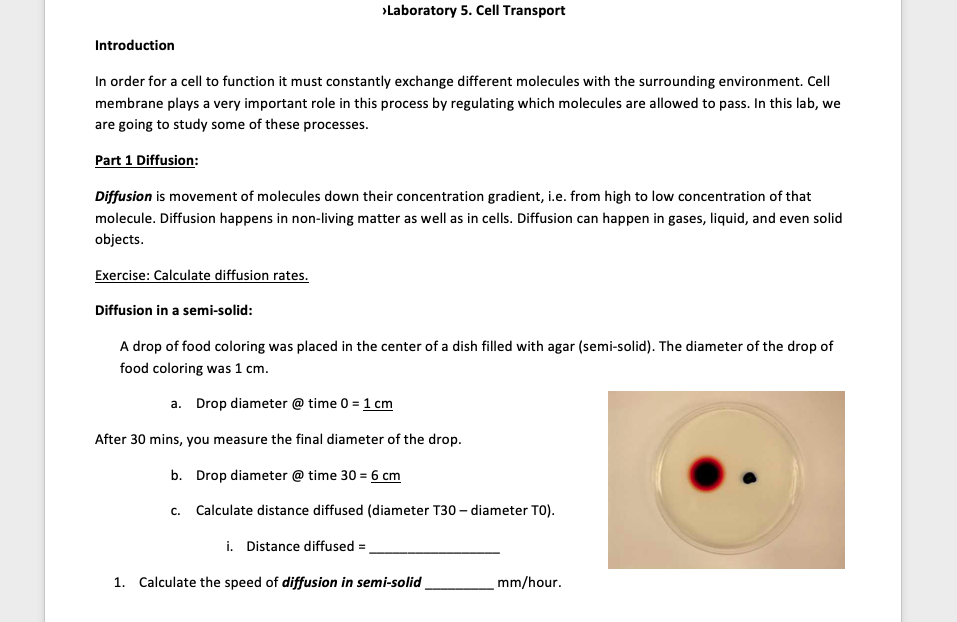 Solved Laboratory 5. Cell Transport Introduction In order | Chegg.com