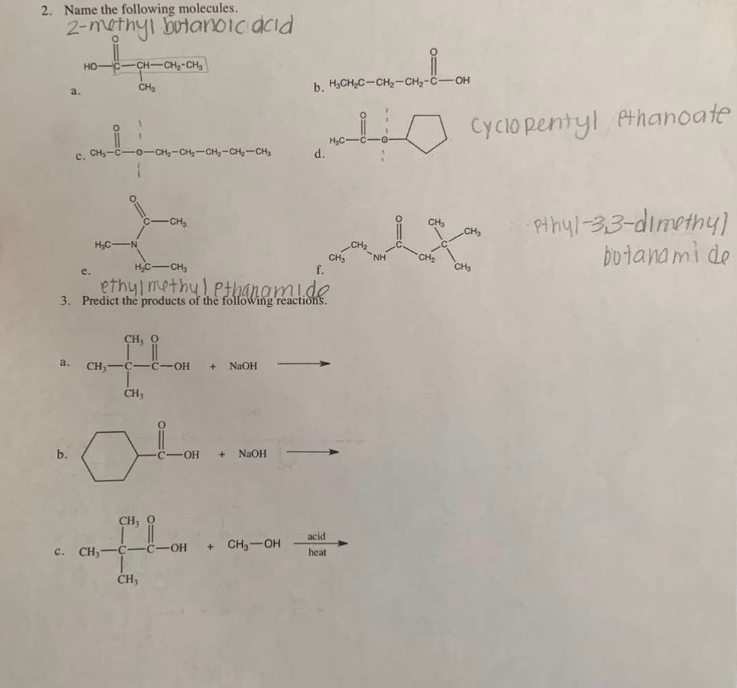 Solved 2. Name the following molecules. 2-methyl butanoic | Chegg.com