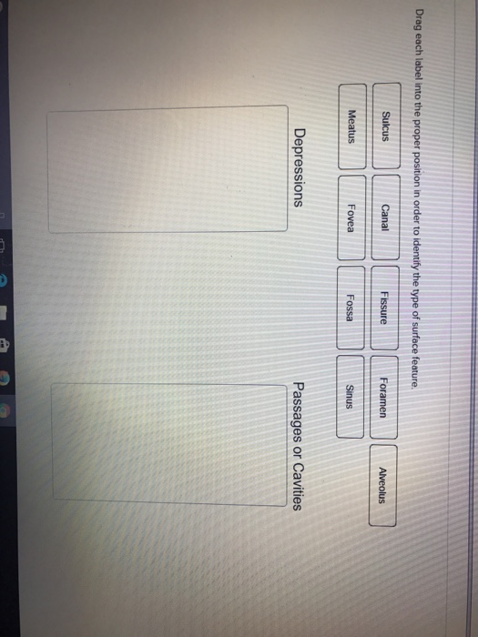 Solved Drag each label into the proper position in order to | Chegg.com
