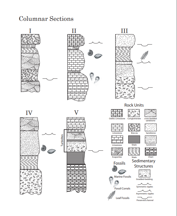 Solved Columnar Sections A. Shallow Marine B. Desert C. | Chegg.com