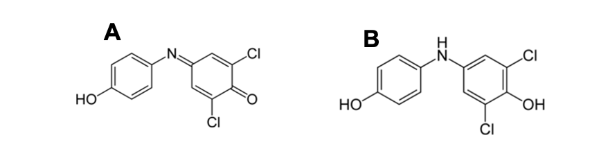 Solved here are two forms of 2,6-dichlorophenol-indophenol | Chegg.com