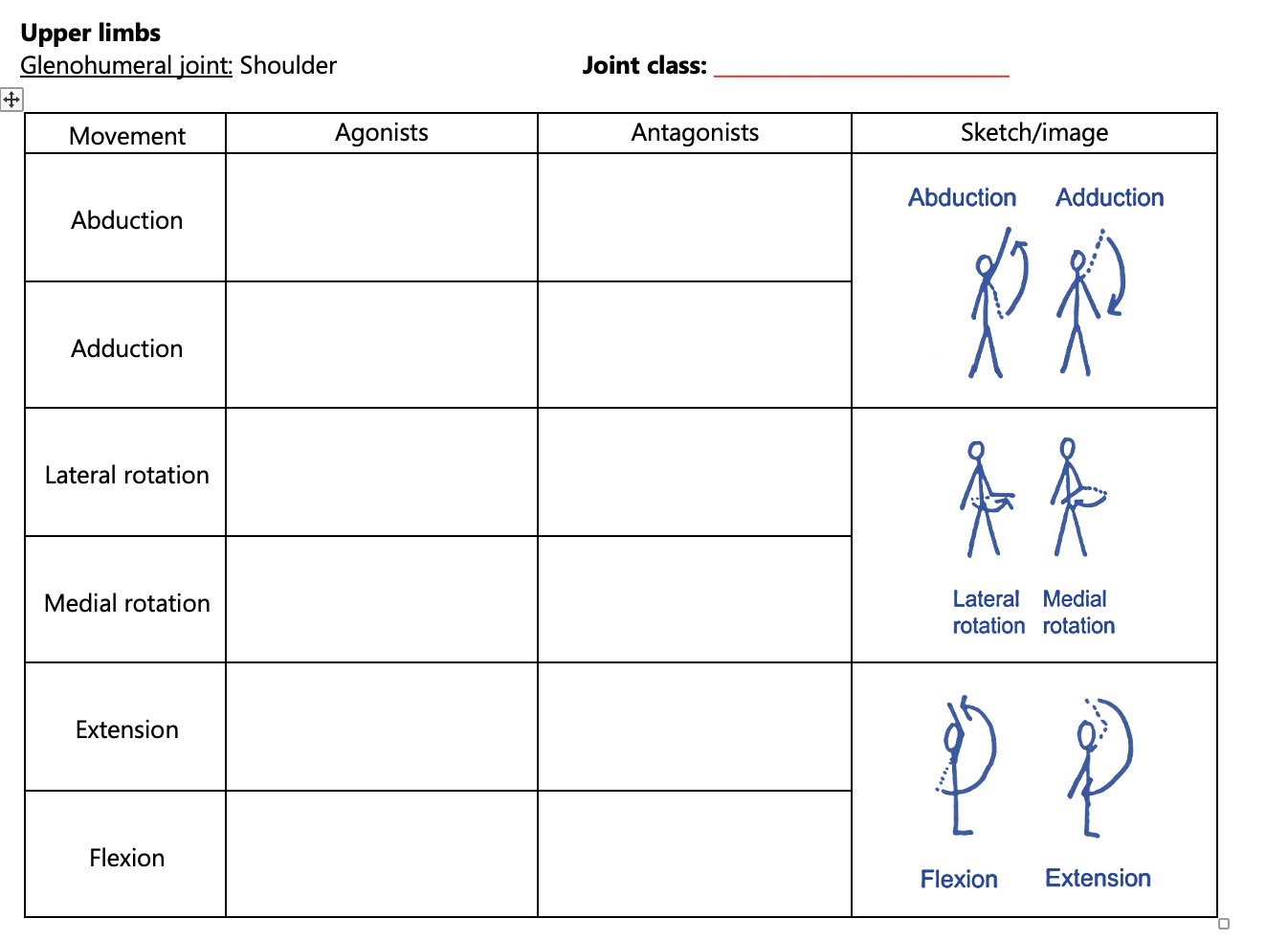 Solved Upper limbs Glenohumeral joint: Shoulder Joint class: | Chegg.com
