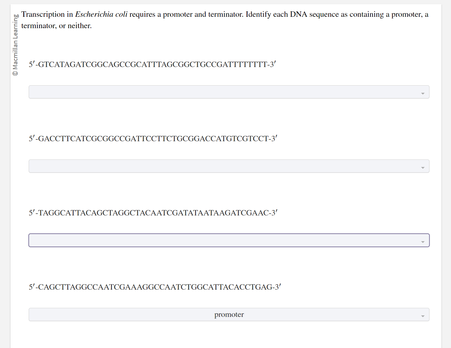 Solved Transcription in Escherichia coli requires a promoter | Chegg.com
