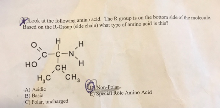 Solved k at the following amino acid. The R group is on the | Chegg.com