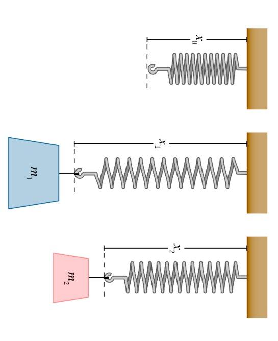 Solved A spring hangs from the ceiling with an unstretched | Chegg.com