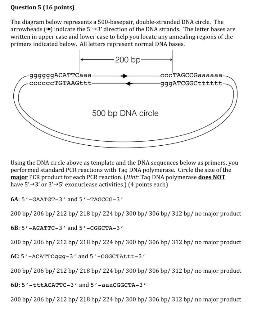 The diagram below represents a 500-basepair, | Chegg.com