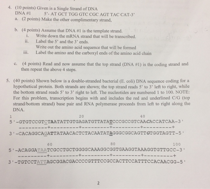 Solved DNA #1 5'- AT GCT TGG GTC CGC AGT TAC CAT-3 a. (2 | Chegg.com