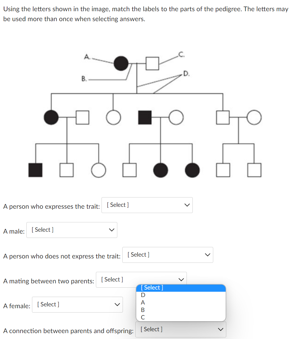 Solved Using the letters shown in the image, match the | Chegg.com